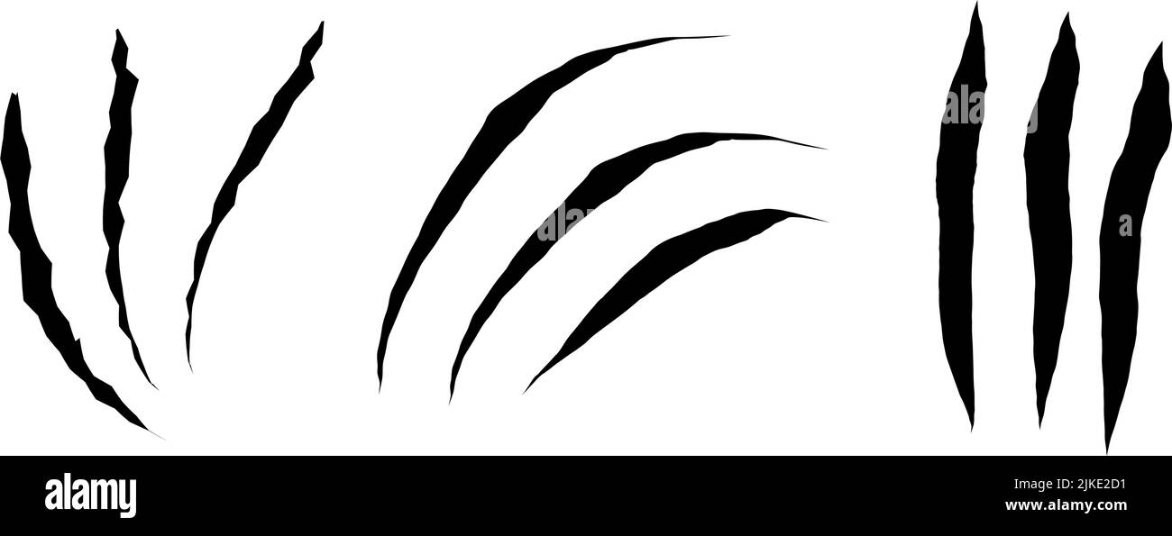 Cat scratches set. Black claws animal scratch, Torn paper. Cat claws ...