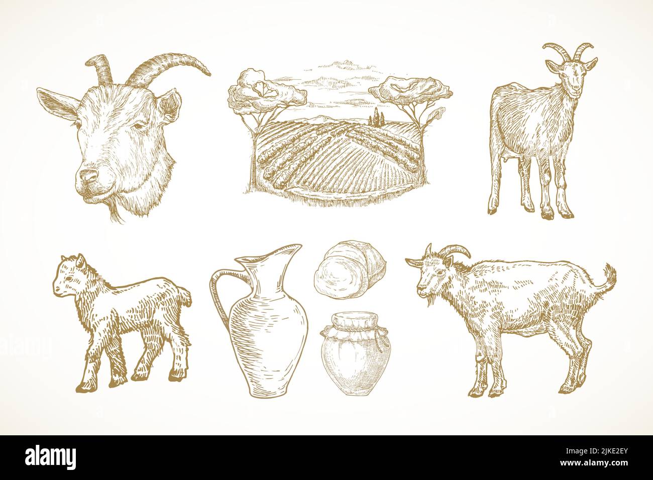 Goat Farm Products and Objects. Cattle, Milk, Cottage Cheese and Rustic ...