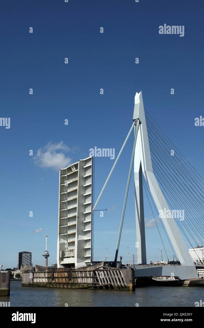 The Erasmusbrug or Erasmus Bridge (1996), Rotterdam, Netherlands in ...