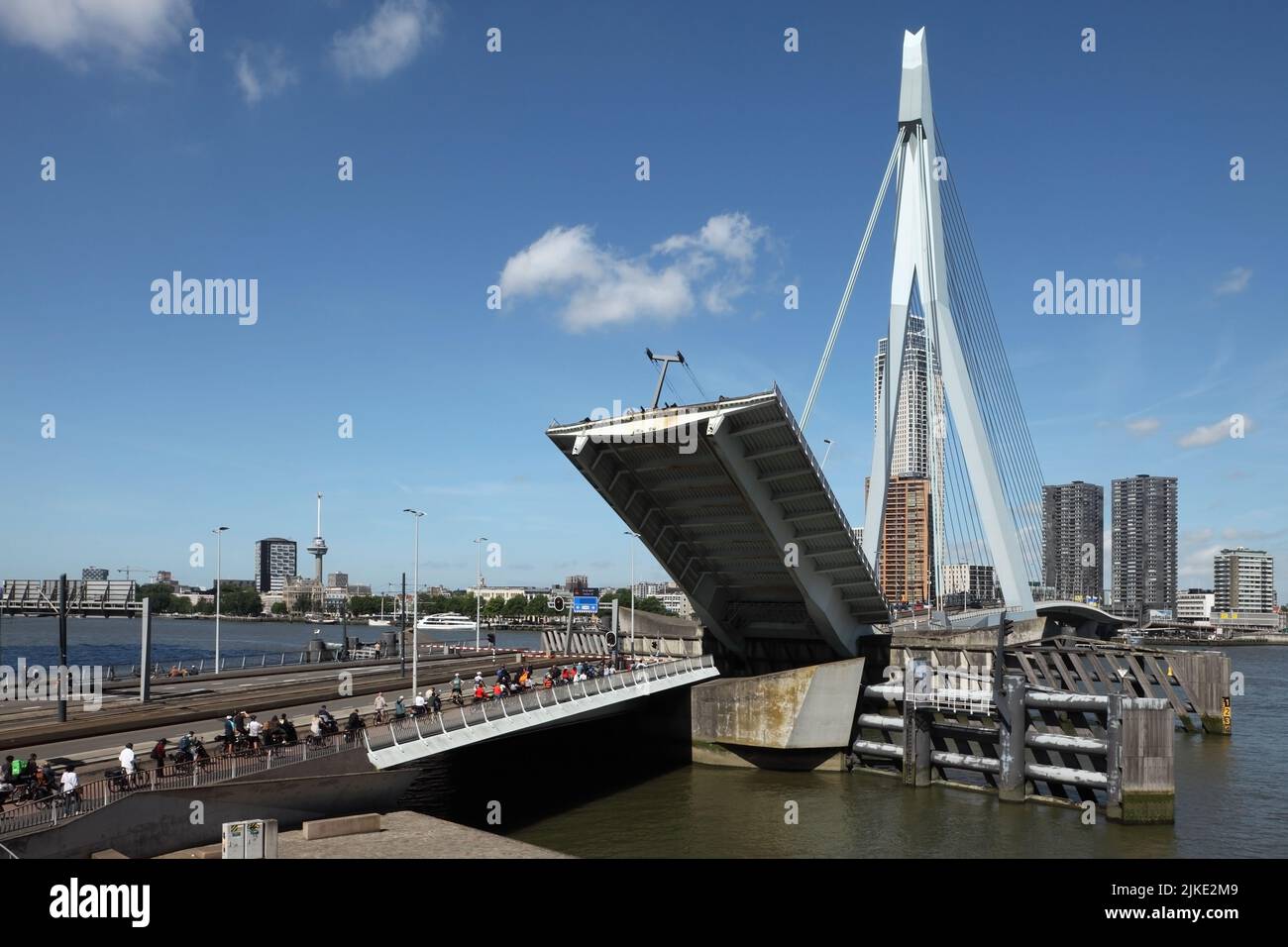 The Erasmusbrug or Erasmus Bridge (1996), Rotterdam, Netherlands in ...