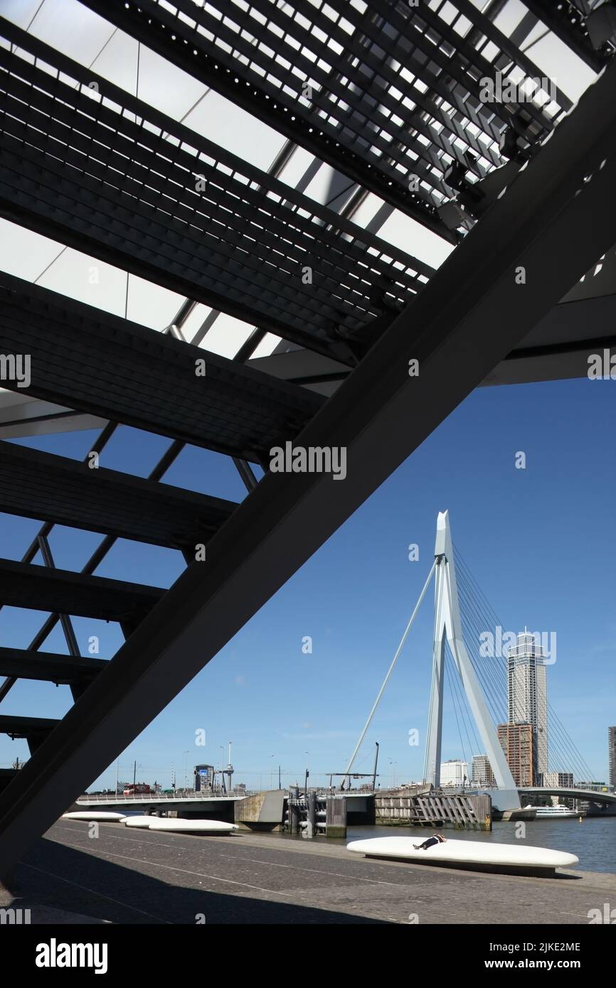 The Erasmusbrug or Erasmus Bridge (1996), Rotterdam, Netherlands Stock ...