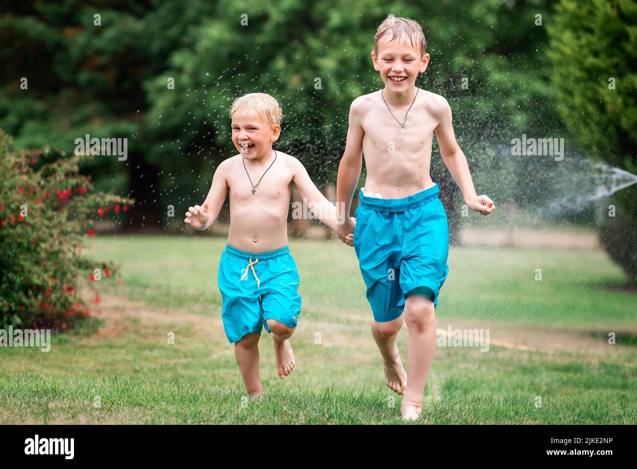 Kids play with water on hot summer day. Children with garden sprinkler ...