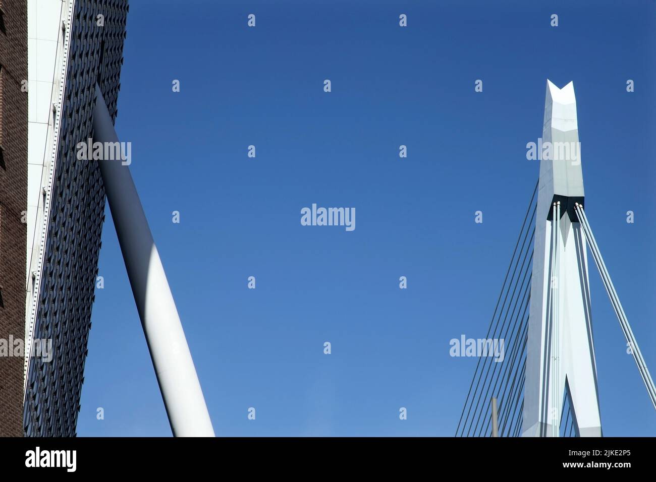 The Erasmusbrug (Erasmus Bridge) (R) and Toren op Zuid or the Tower on ...