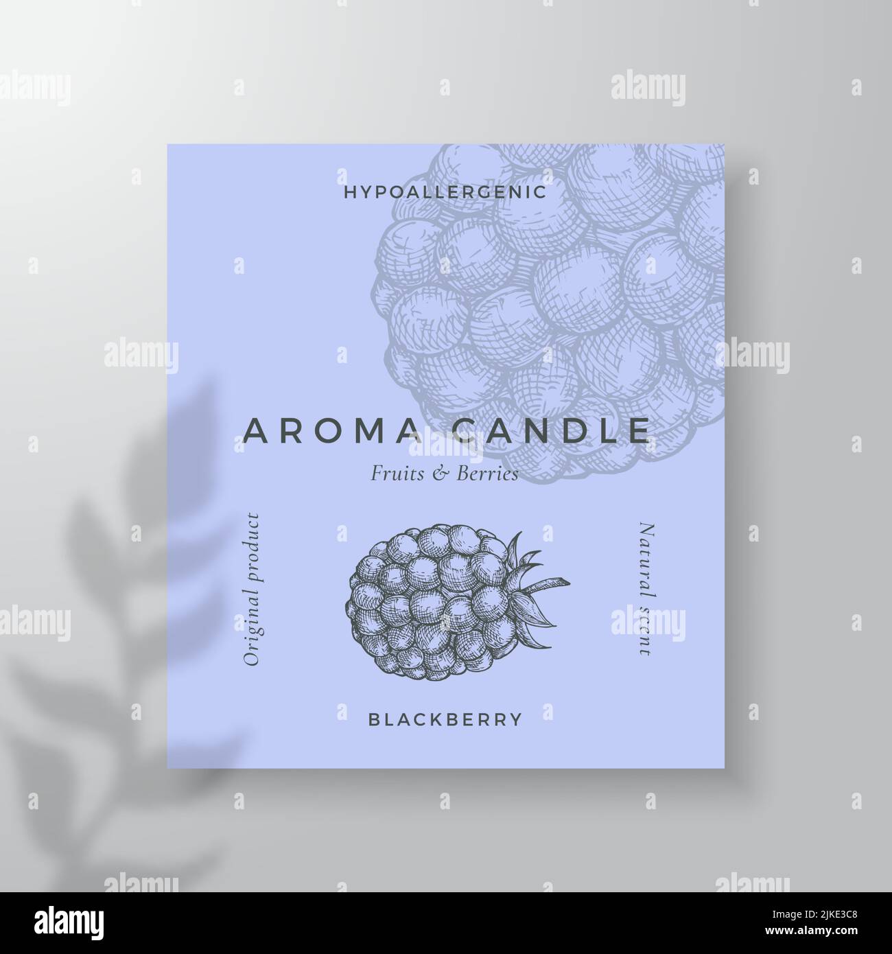 Aroma candle vector label template. Blackberry berry scent from local ...