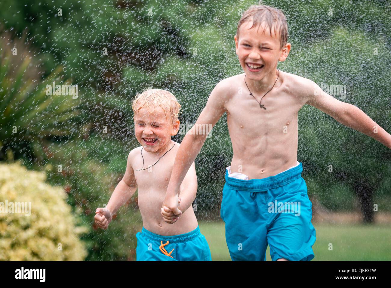 Kids play with water on hot summer day. Children with garden sprinkler ...