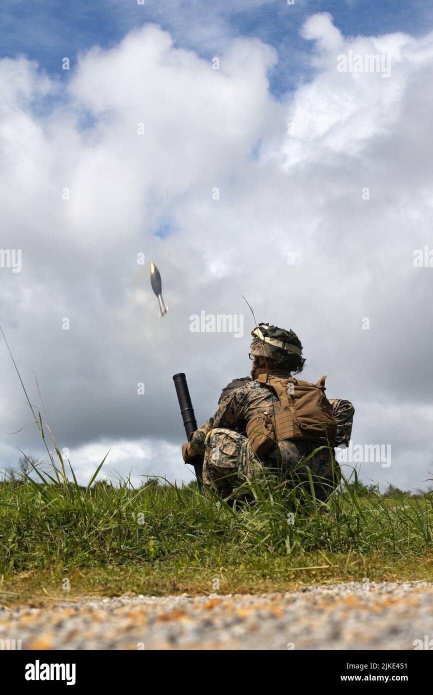 U.S. Marines with 3d Battalion, 3d Marines fire an M224 60 mm mortar ...