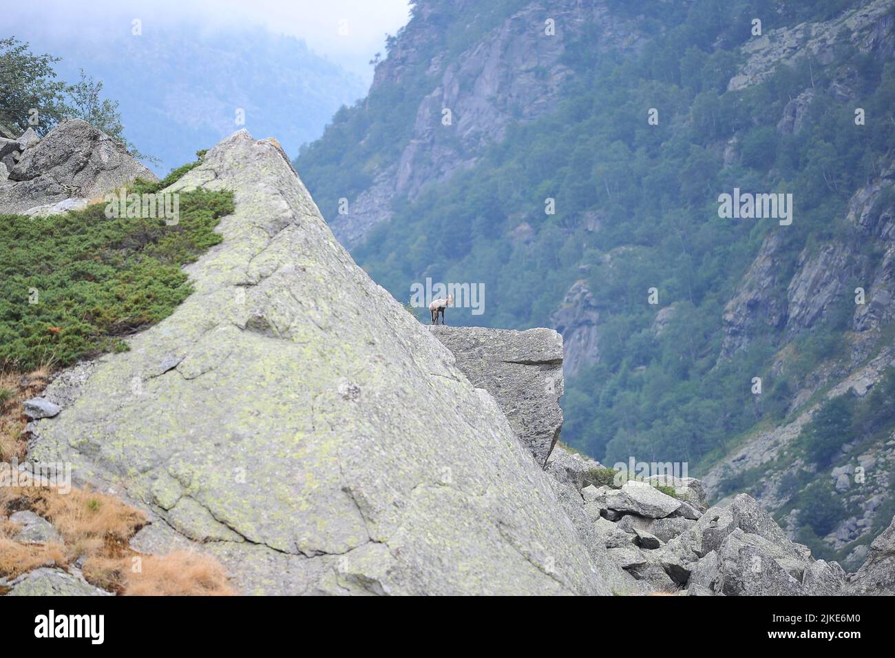 The Vallone of Sea Stock Photo - Alamy