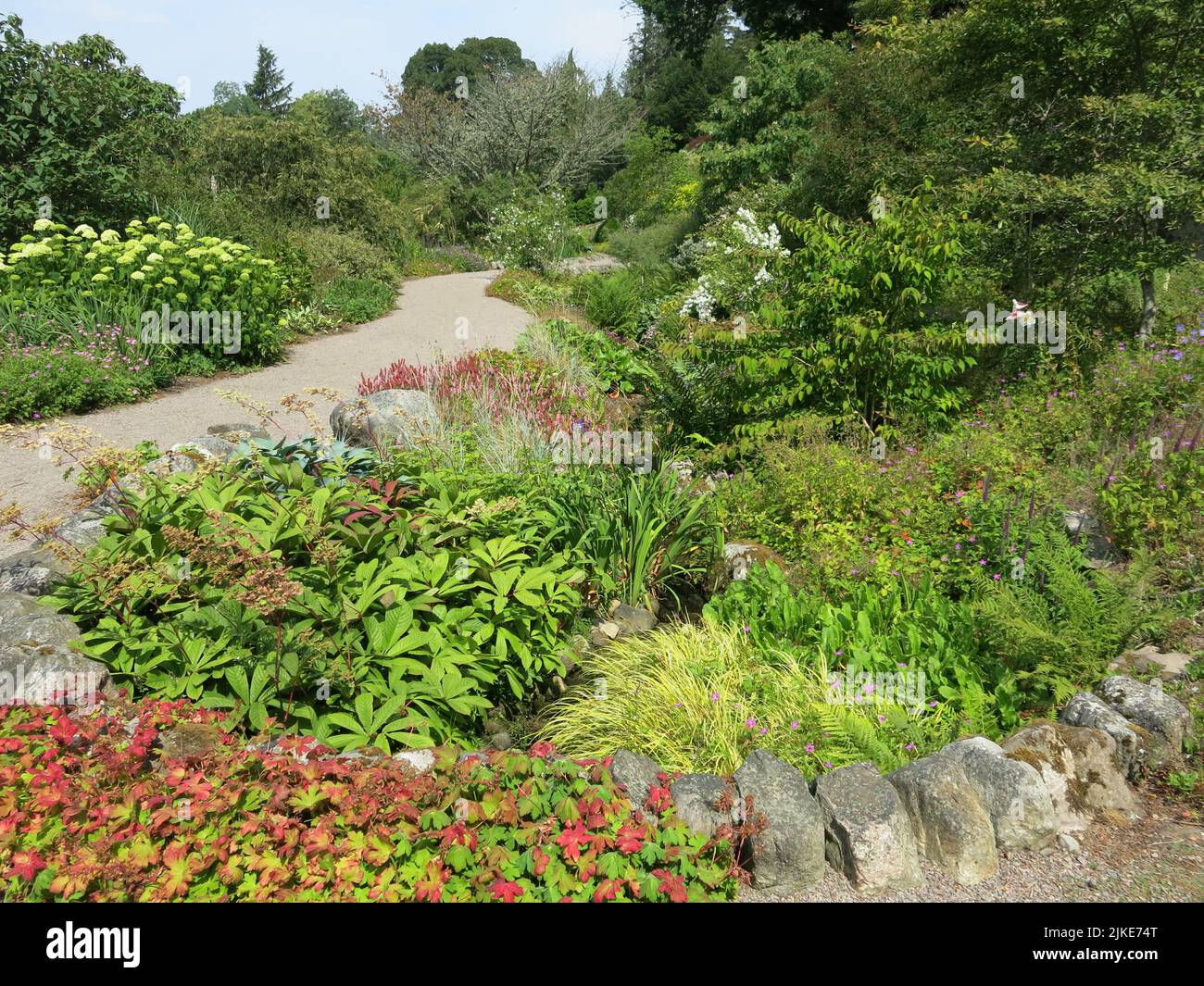 Paths through the herbaceous borders full of summer shrubs in the ...