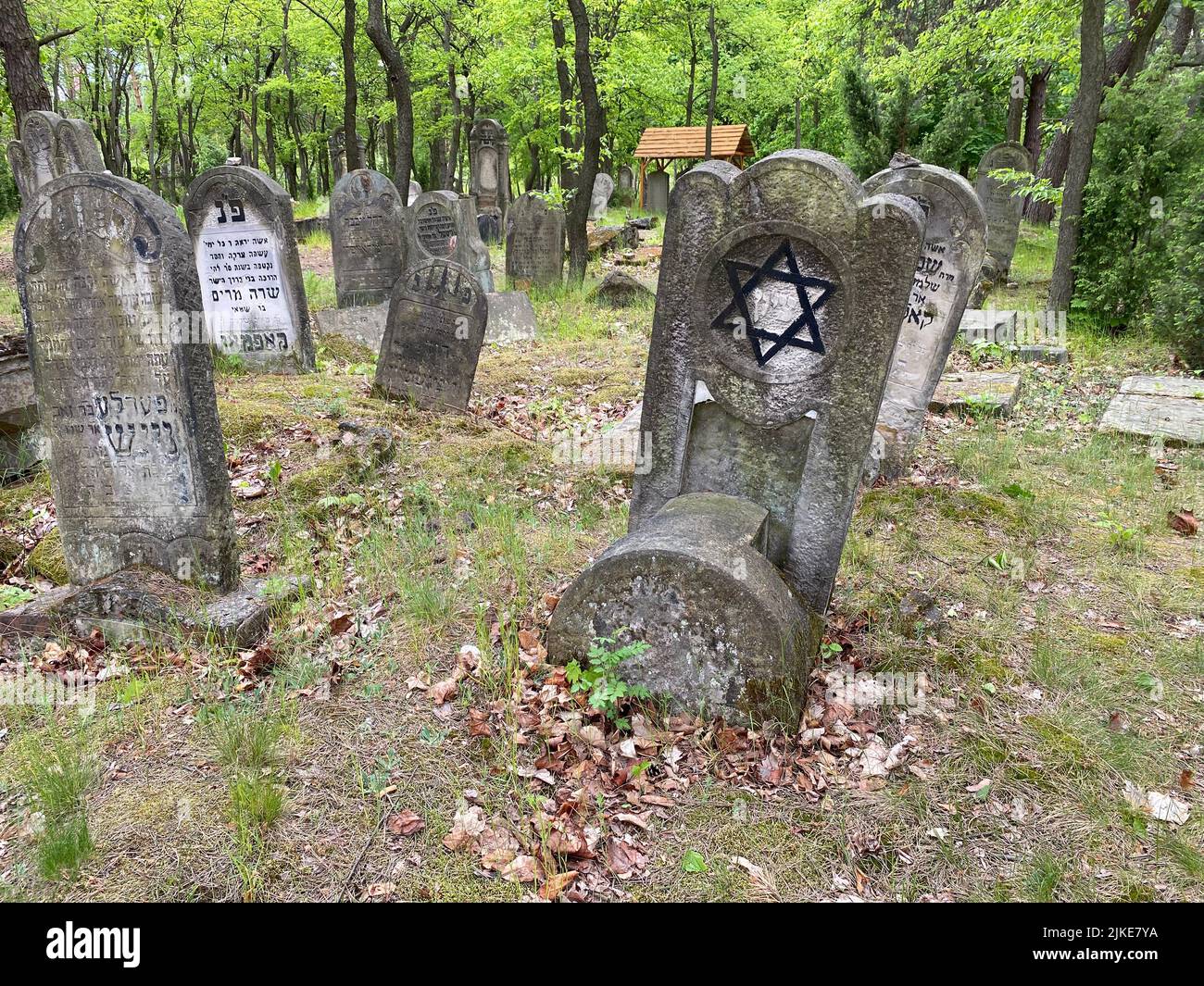Ruins of the old Jewish cemetery in Otwock Poland cmentarz żydowski w ...