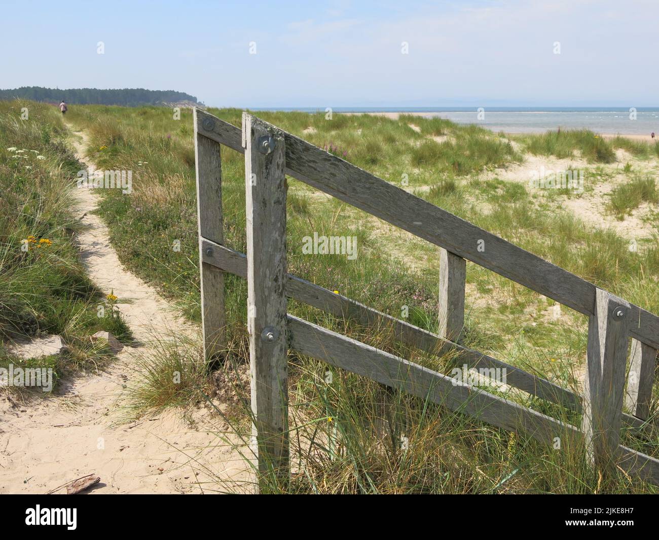 Sandy paths meander through the sand-dunes on a glorious summer's day ...