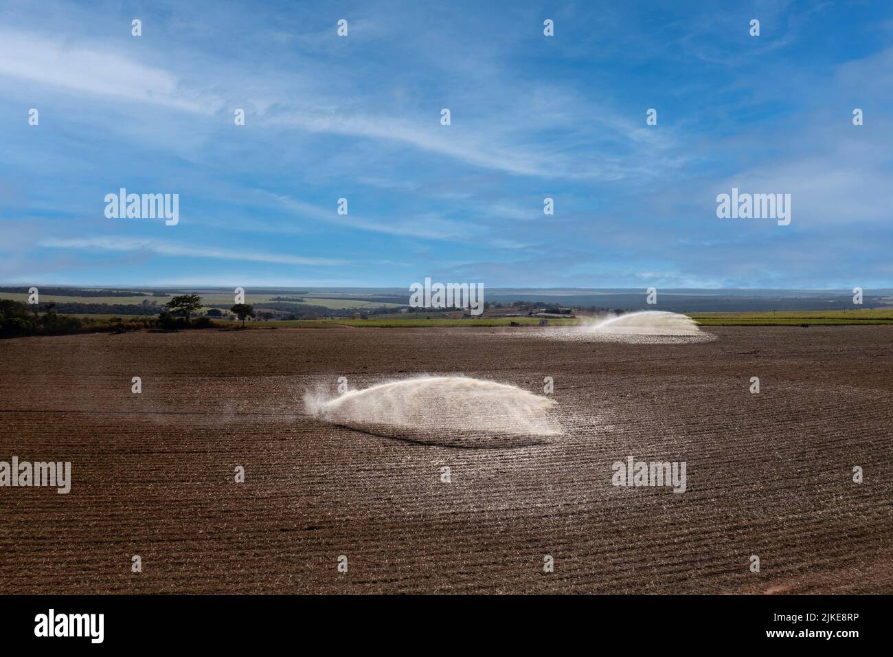 Sugar cane paddock hi-res stock photography and images - Alamy