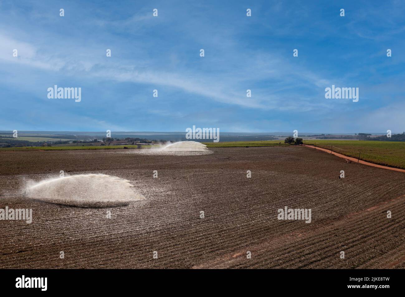 Sugar cane paddock hi-res stock photography and images - Alamy