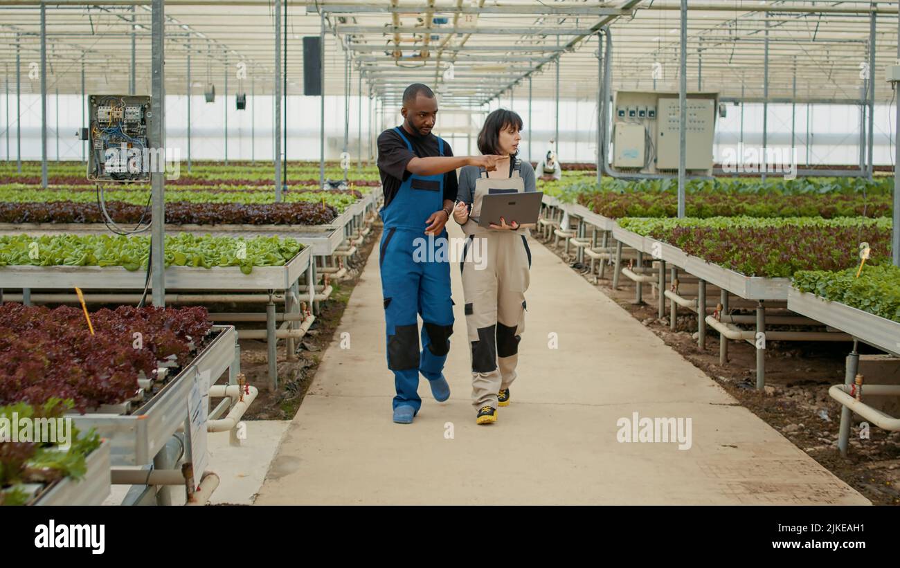 Agricultural engineer using laptop explaining to new african american ...
