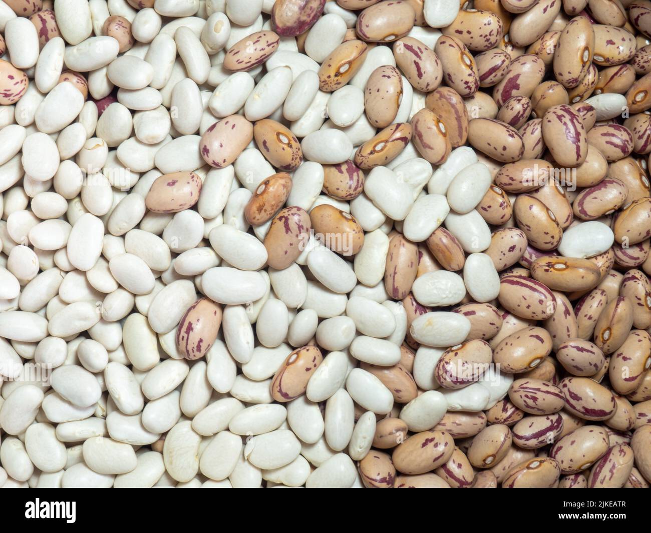 White and variegated beans are mixed. Beans of different varieties ...