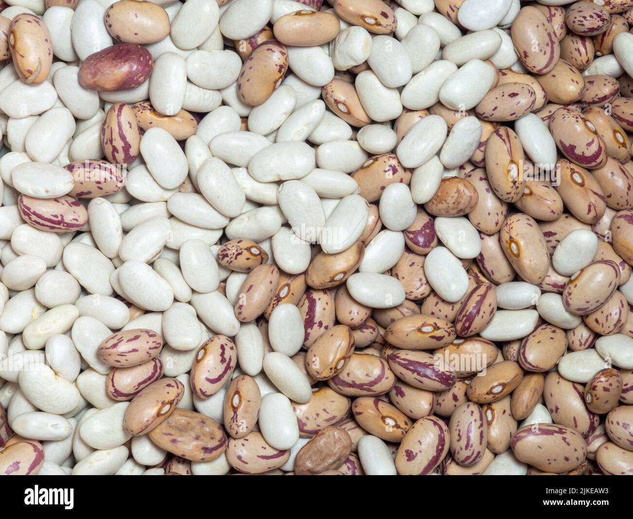 White and variegated beans are mixed. Beans of different varieties ...