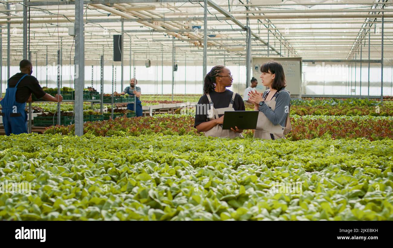 Agricultural workers checking using hi-res stock photography and images ...
