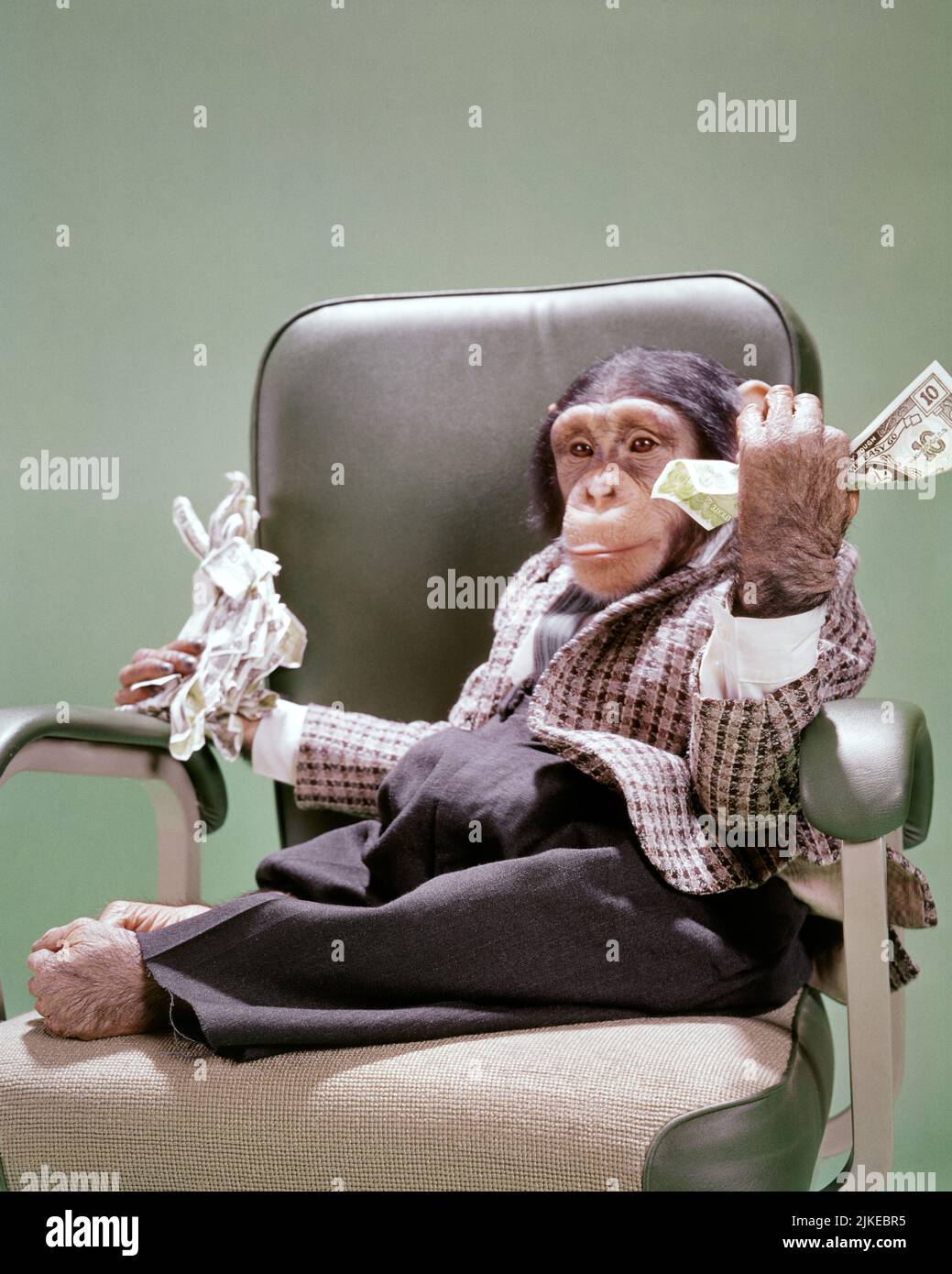 1960s business chair hi-res stock photography and images - Alamy
