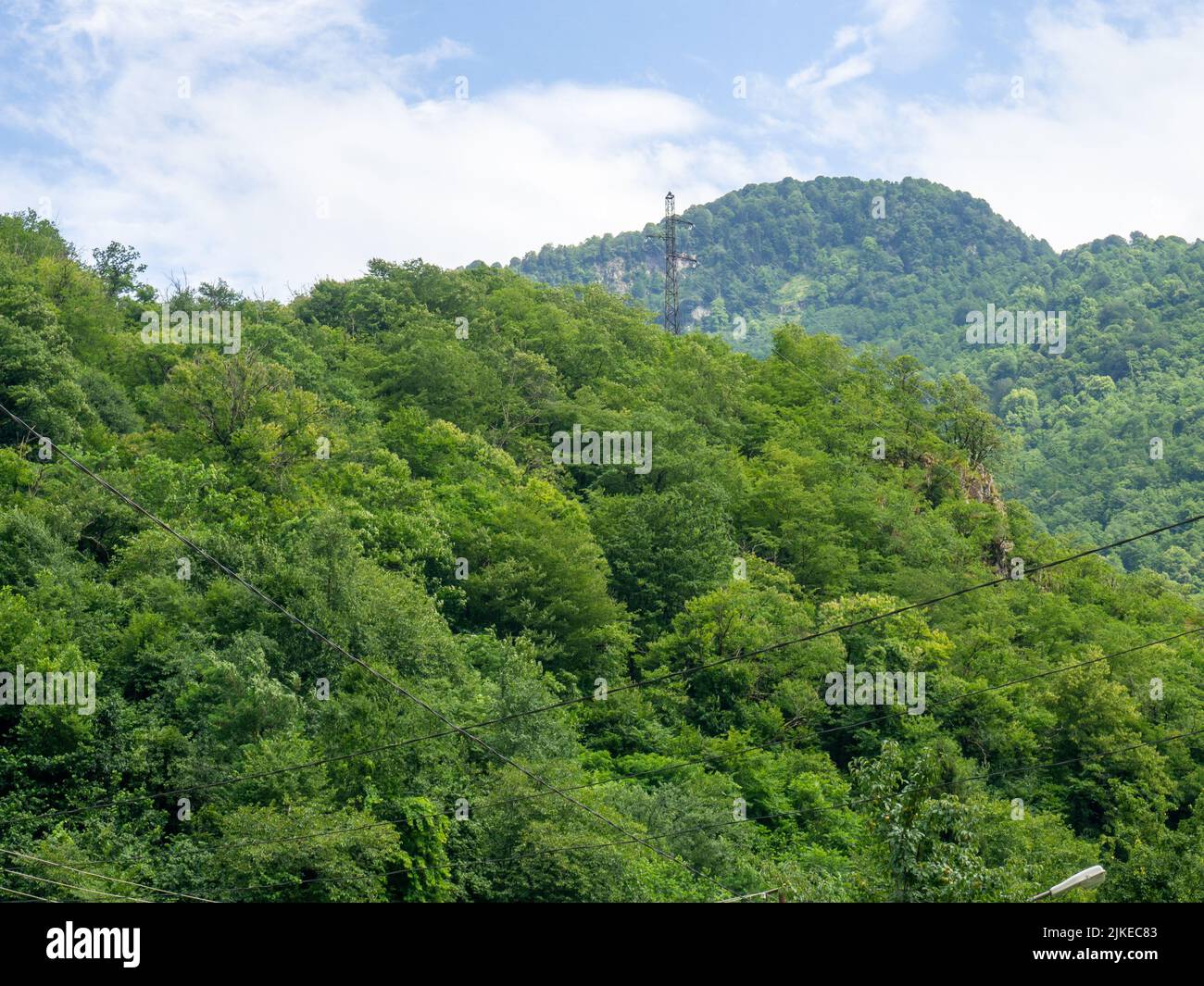 Hills covered with dense forest. There is a human presence. Green ...