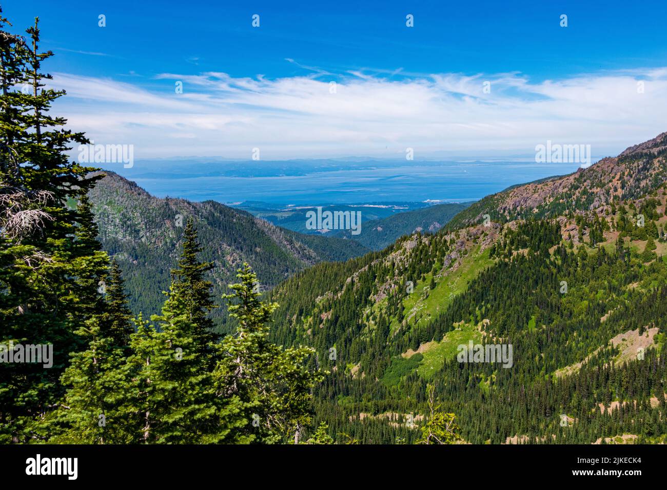 Wildflowers and beautiful views along the Hurricane Ridge trail Stock ...
