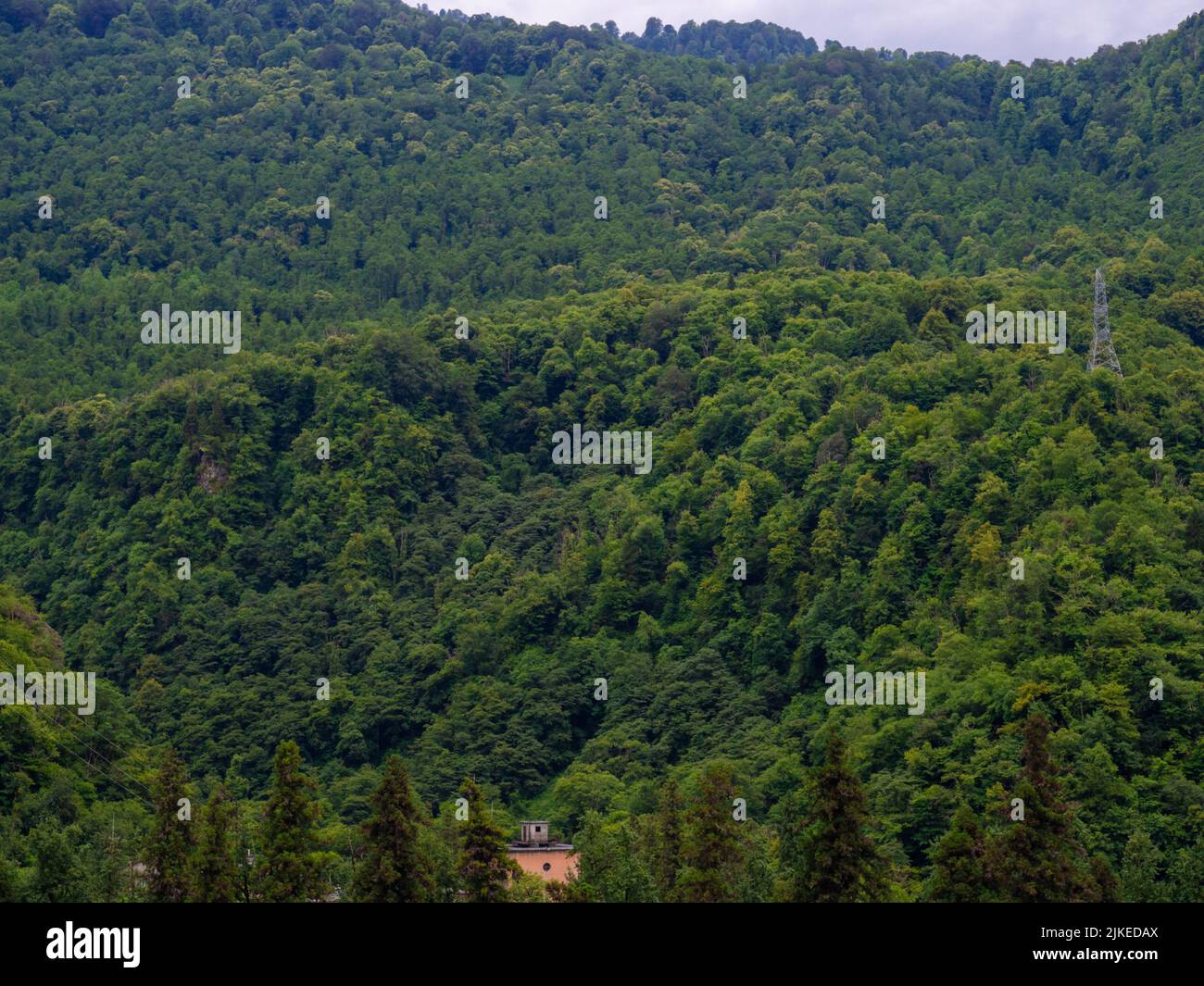 Hills covered with dense forest. There is a human presence. Green ...