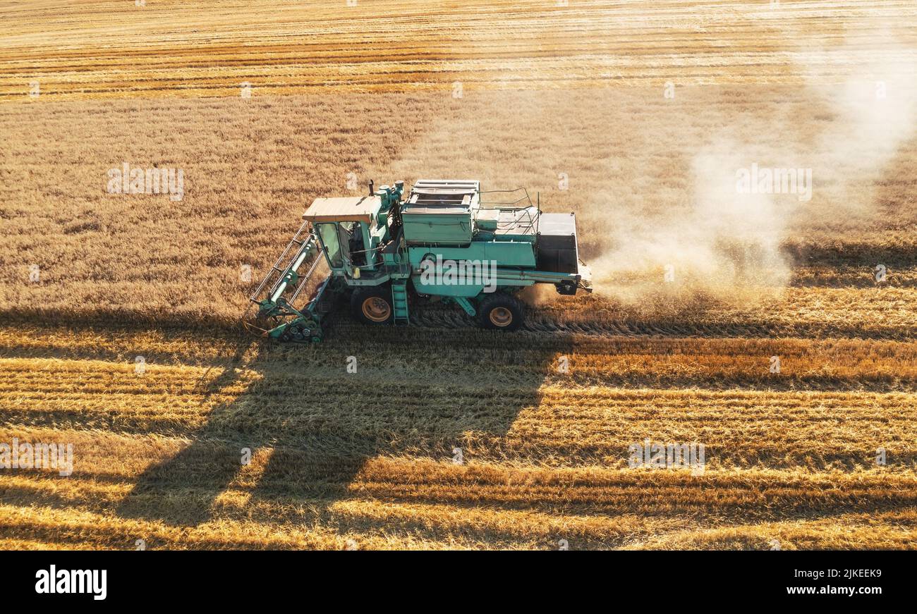 Combine harvester harvests ripe wheat aerial view. Agriculture field ...