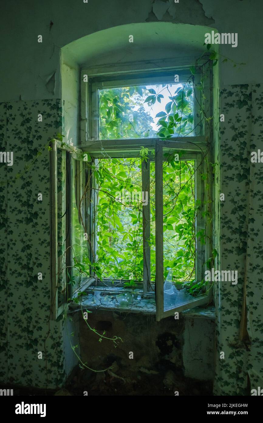 Opened window inside room of abandoned house Stock Photo - Alamy