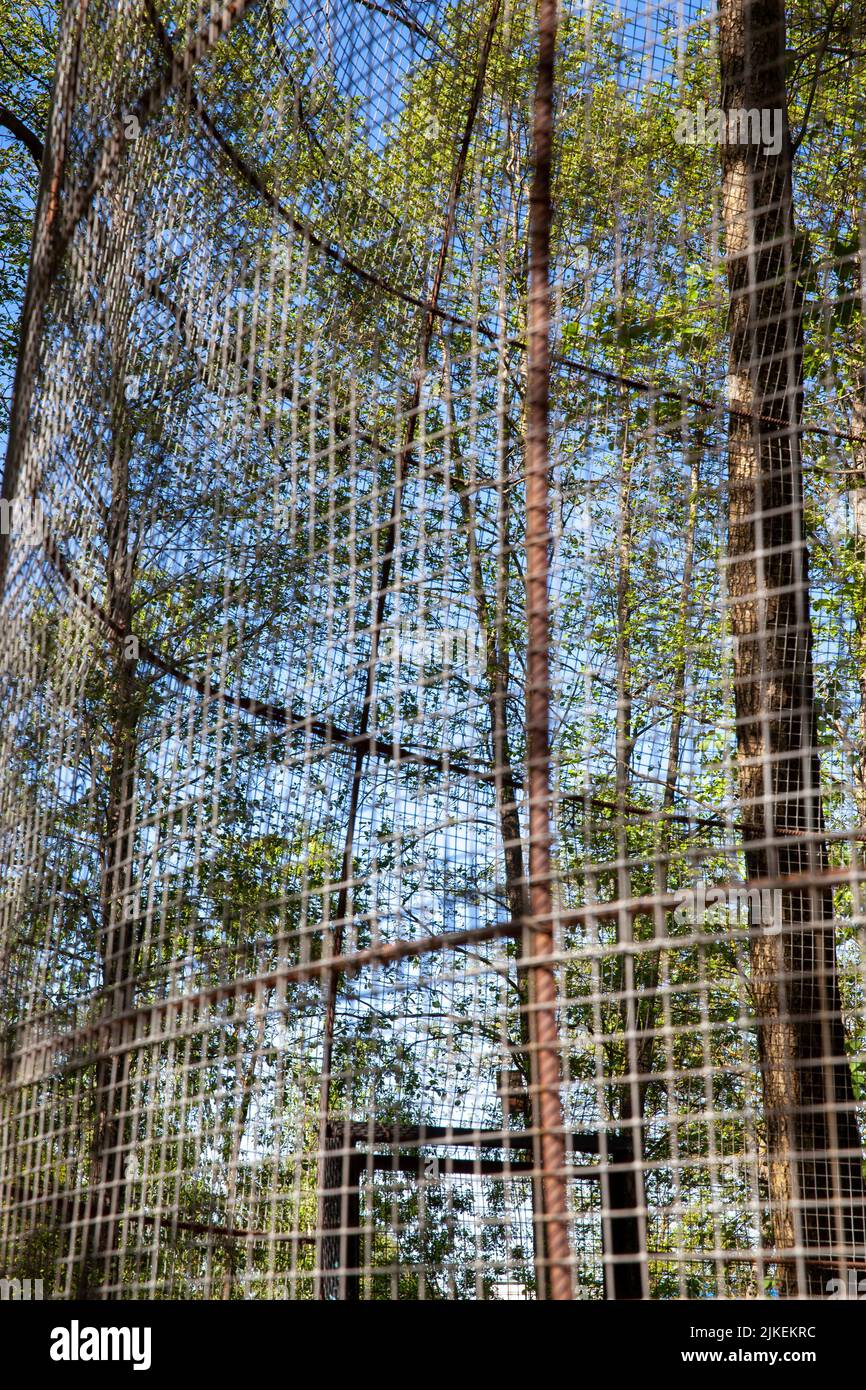 Metal cage grid on the background of plants , metal cage installed ...