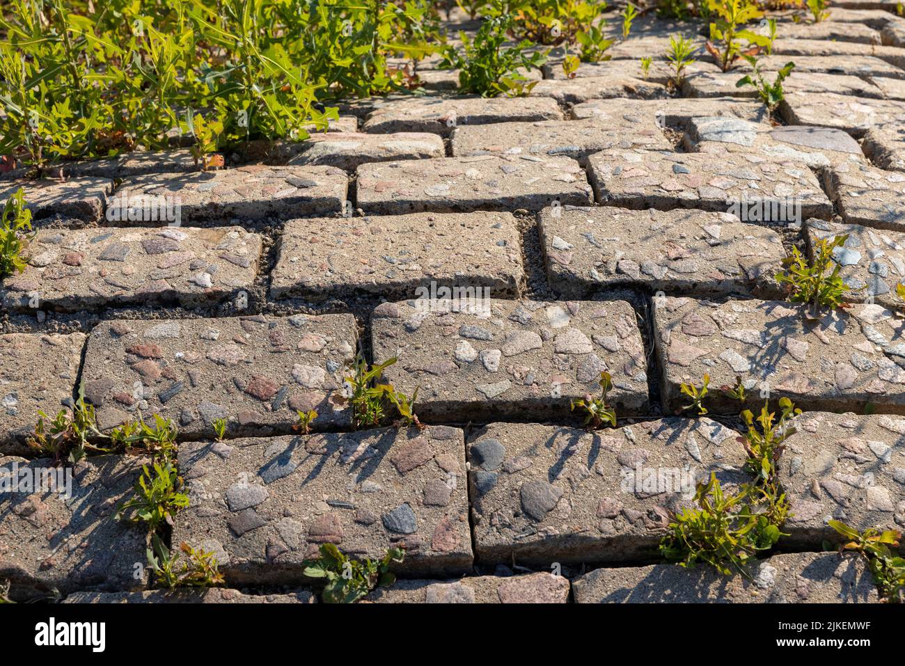 part of the embankment is made of stones and tiles, grass and other ...