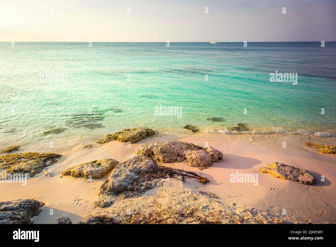 Idyllic and translucent caribbean beach at sunny day in Aruba Stock ...
