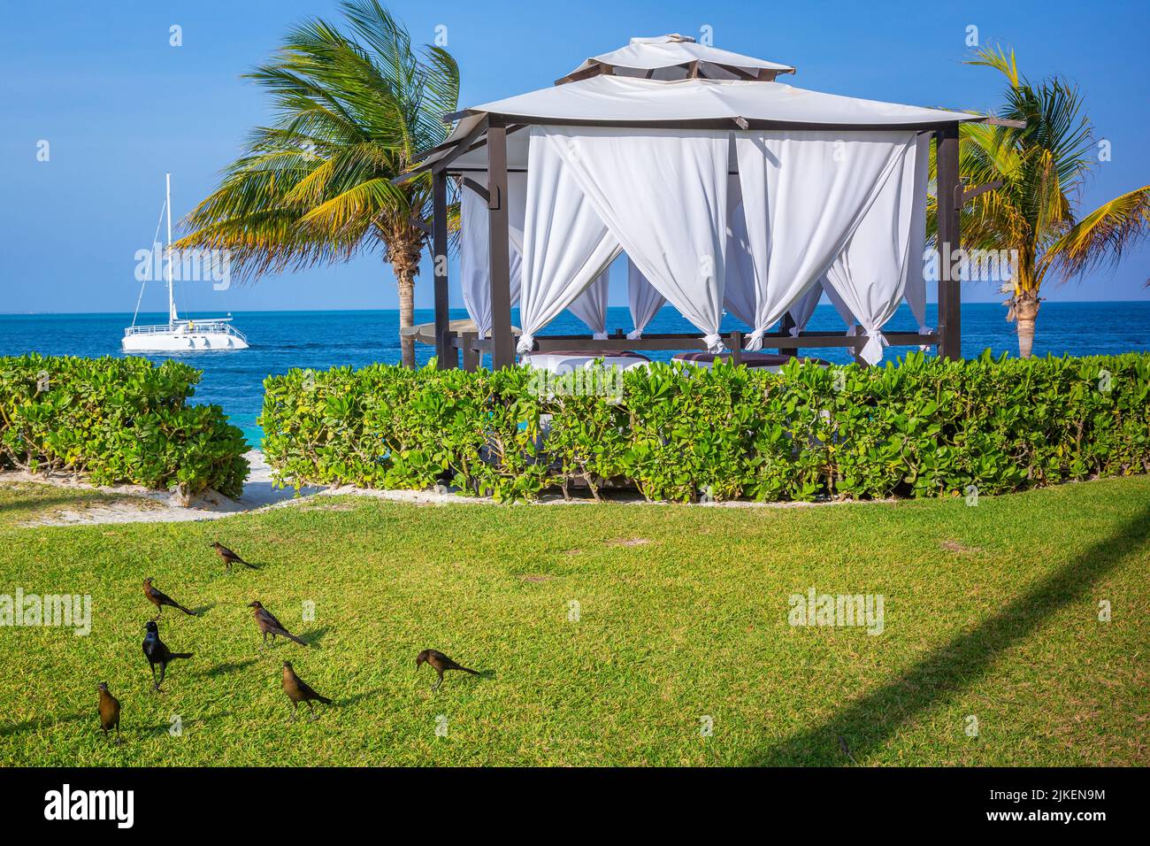 Tropical paradise: Cancun idyllic caribbean beach with gazebo and ...
