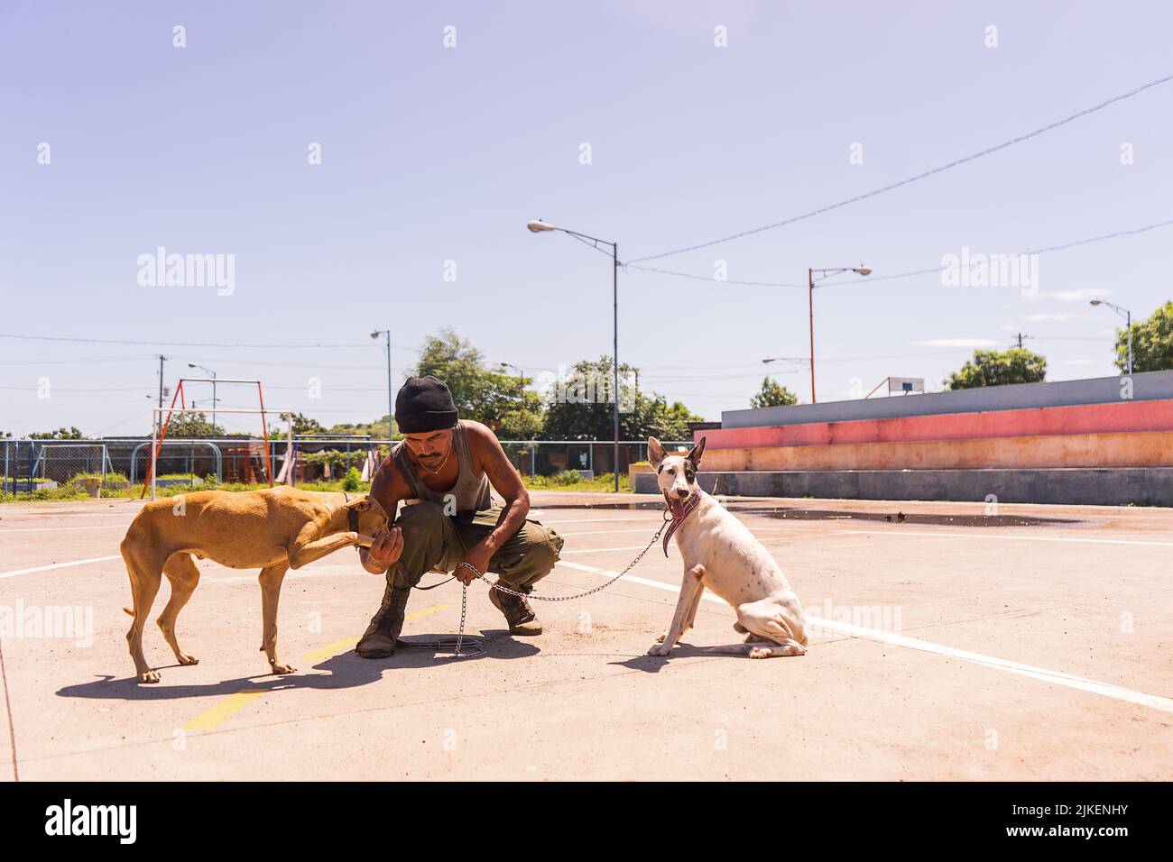Love obedience hi-res stock photography and images - Alamy