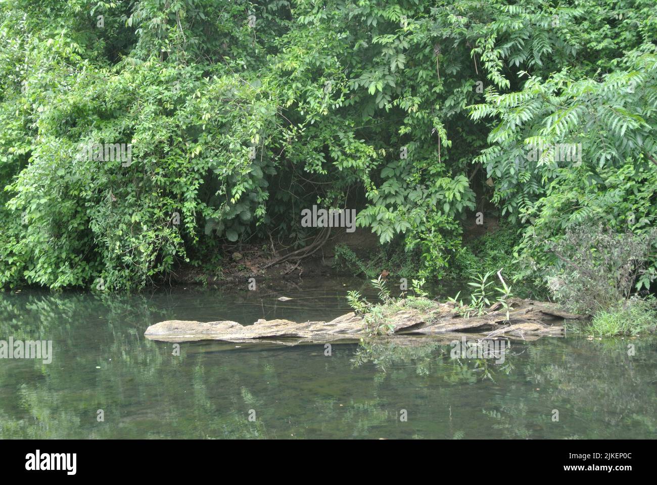 Low river crossing in the jungle Stock Photo - Alamy
