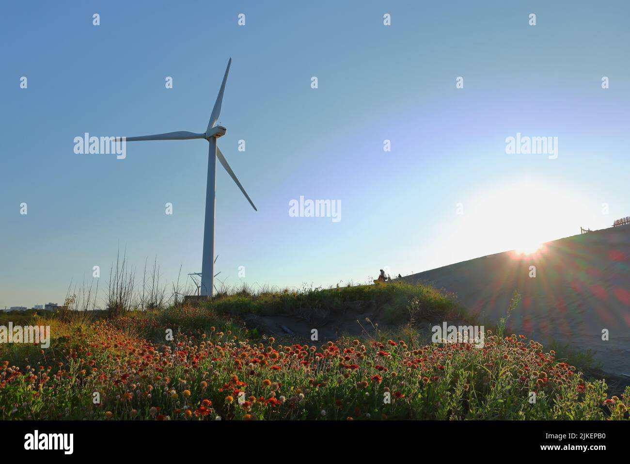 Dayuan district hi-res stock photography and images - Alamy