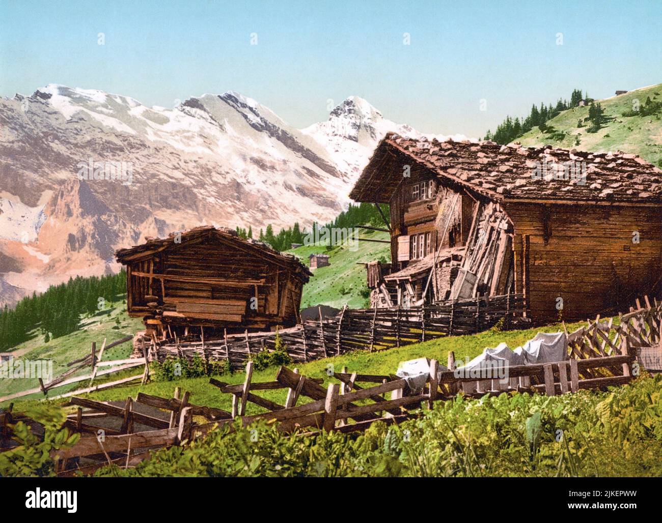 Alpine farmhouse, Mürren, Bernese Oberland, Switzerland 1890 Stock ...