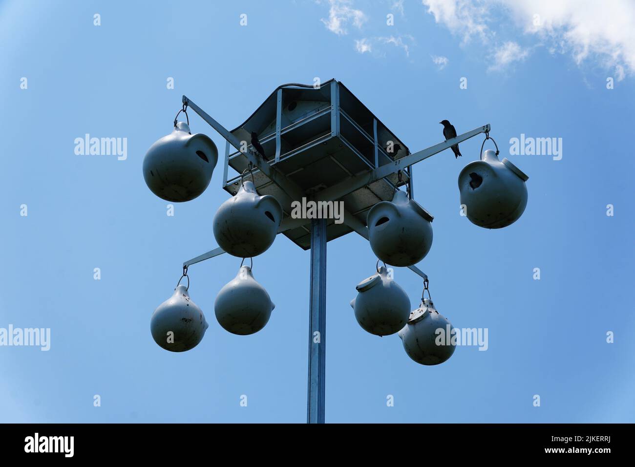 The round shape hanging bird houses overlooking the blue sky Stock ...