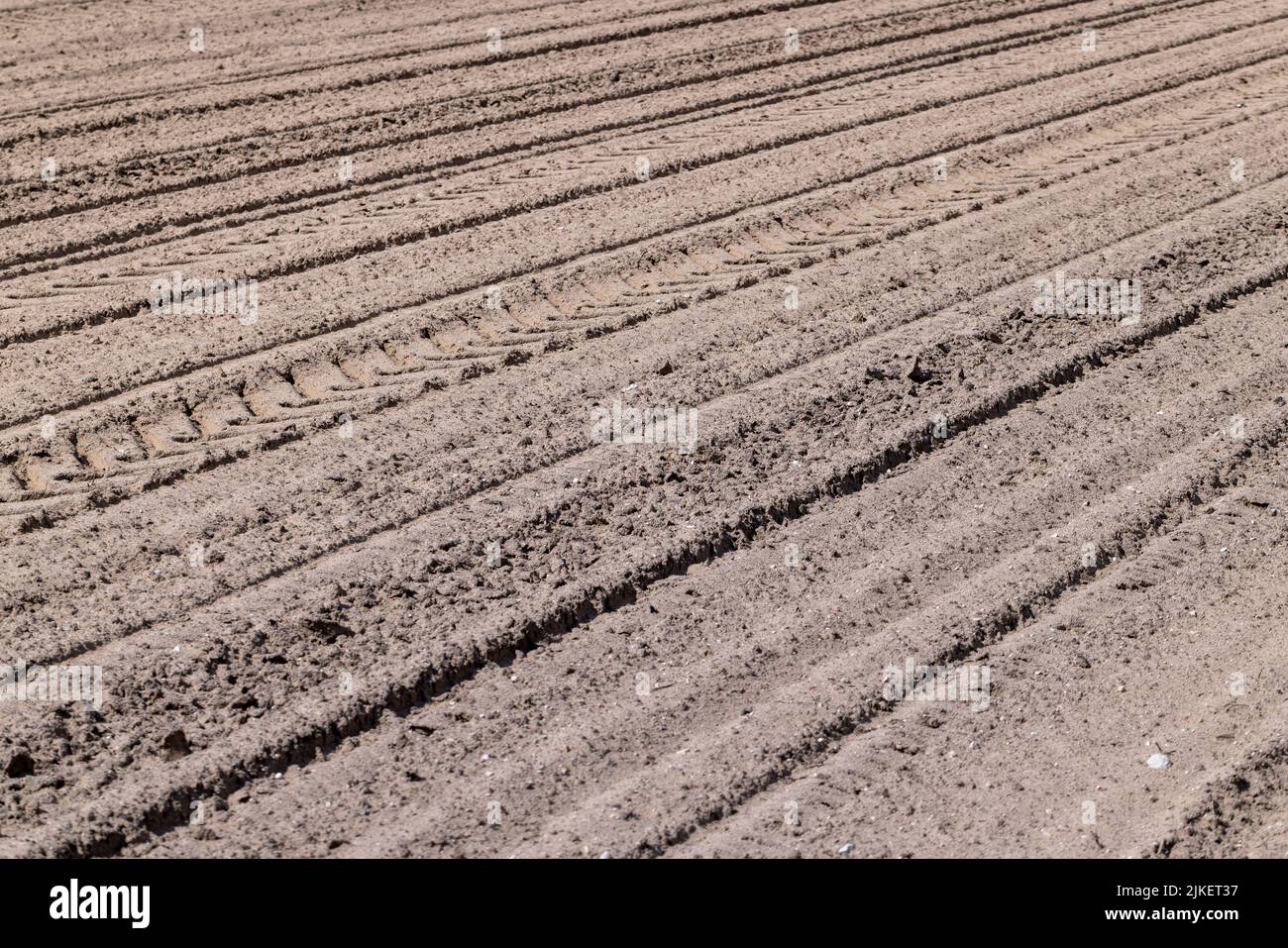 Non fertile soil hi-res stock photography and images - Alamy
