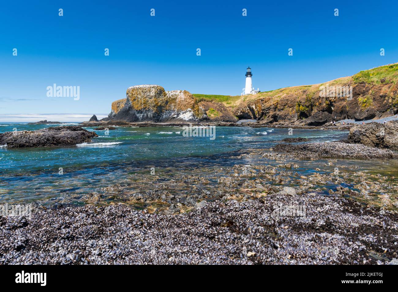 Yaquina Head Lighthouse and tidal pools seen from Agate Beach, Pacific ...