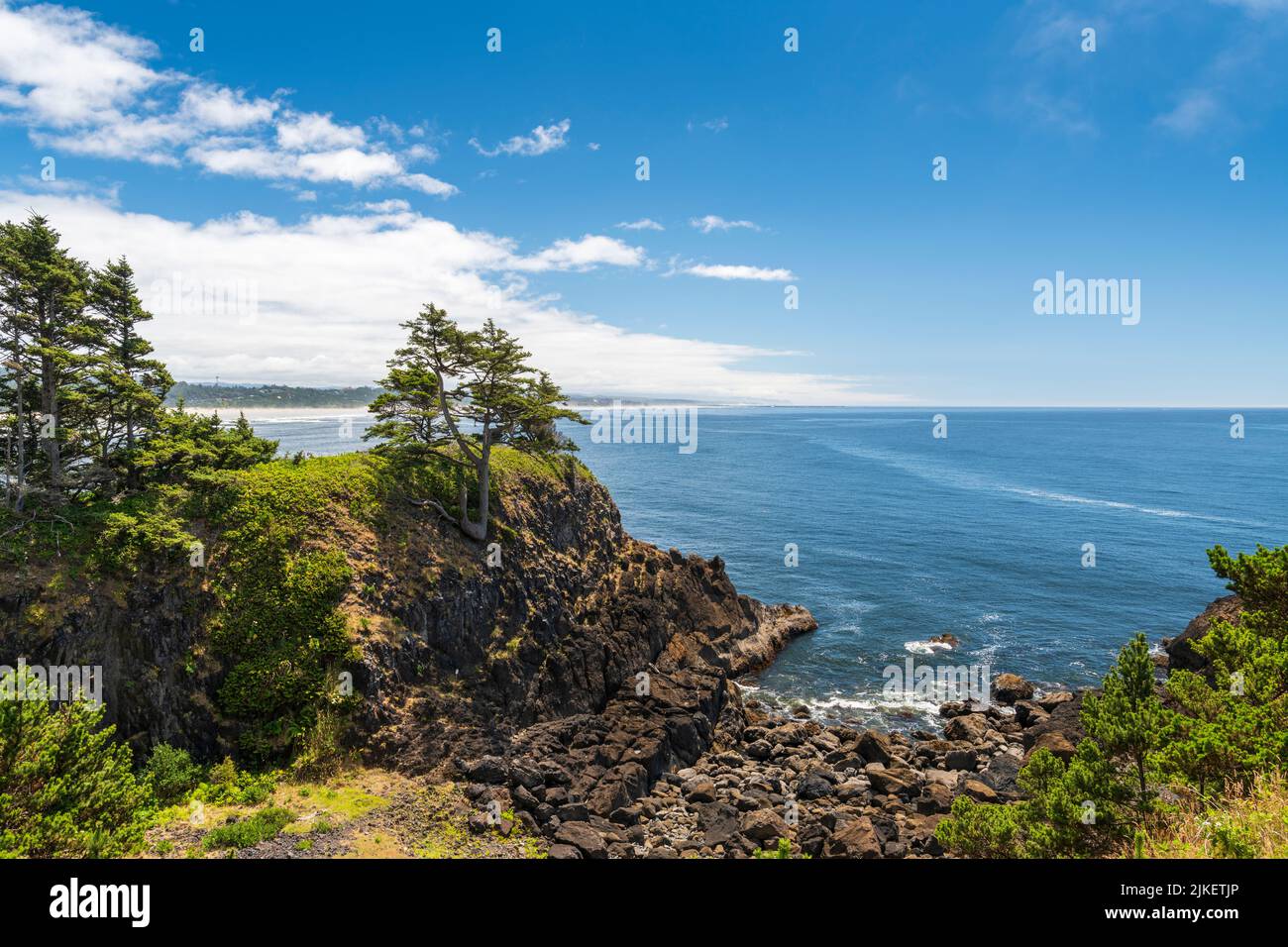 Pine tree growing on beach hi-res stock photography and images - Alamy