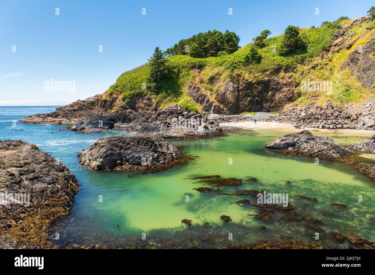 Seaweeds floating in vibrant color waters of Quarry Cove tidal pool at ...
