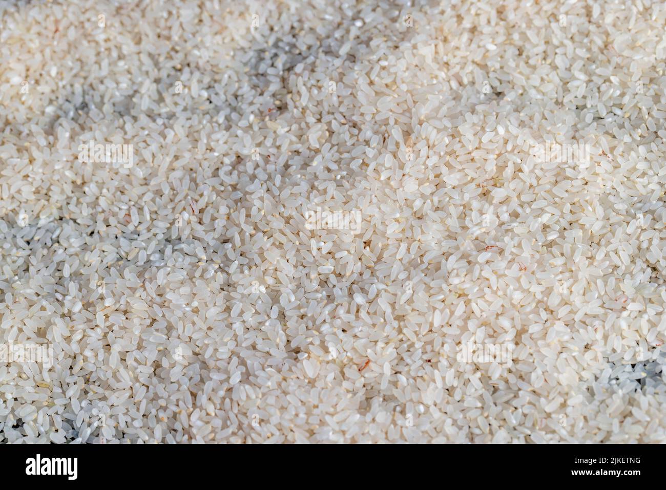 a pile of scattered white rice on the kitchen table, white uncooked ...