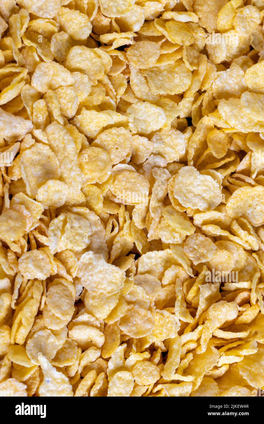 dry breakfast corn flakes of yellow color, preparation of corn dry ...