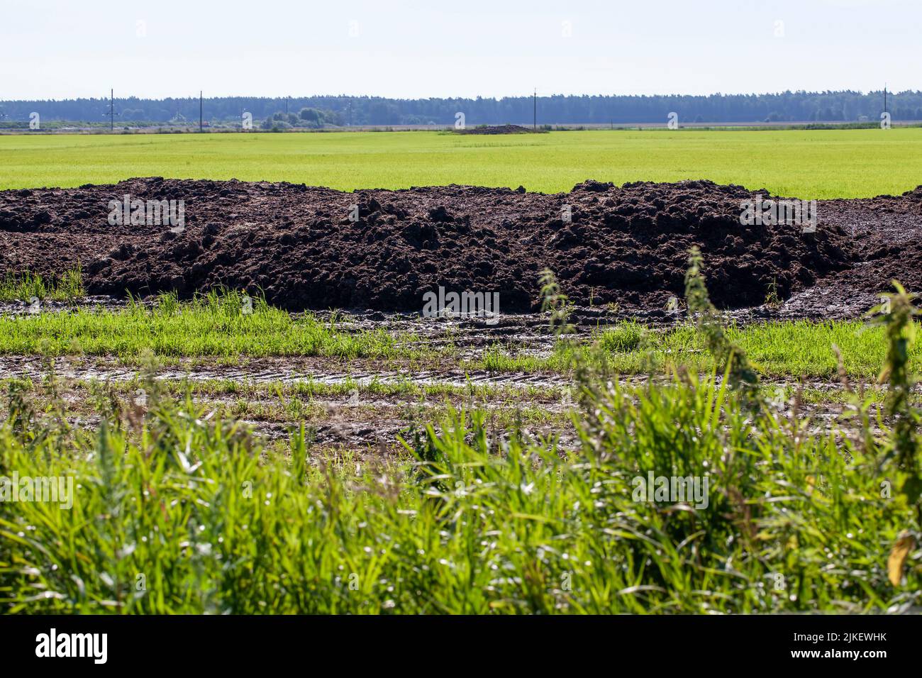 piles of humus manure on the field to fertilize the field territory ...