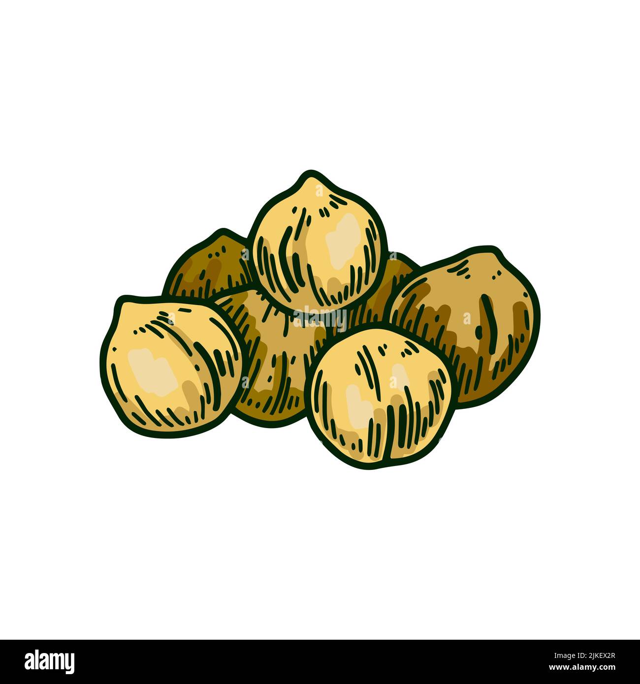 Hand drawn handful of chickpeas beans. Colorful botany vector ...