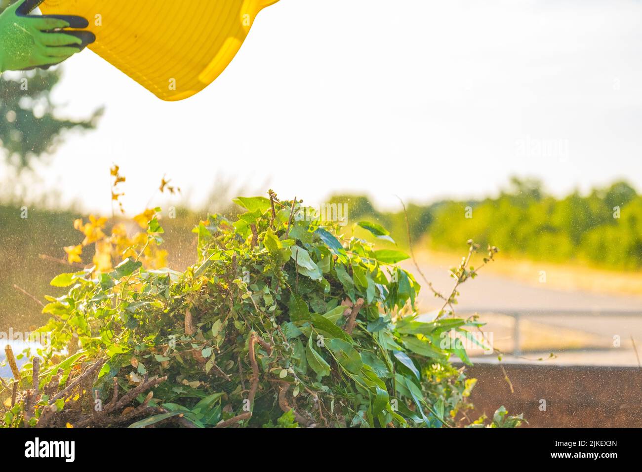 Green compost pours into a metal tank in the sun.green compost with ...