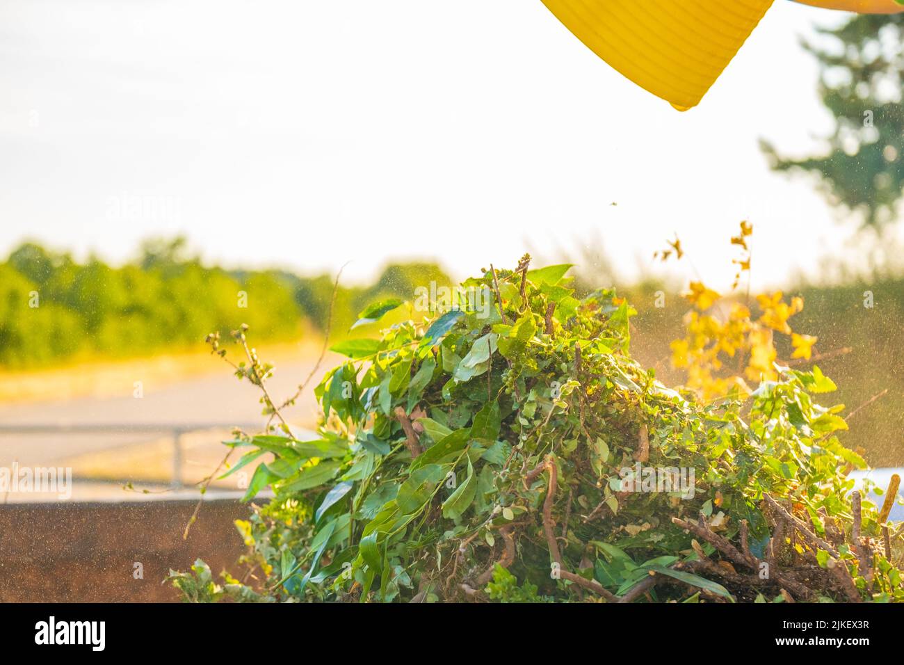 Green compost pours into a metal tank.green compost with many different ...
