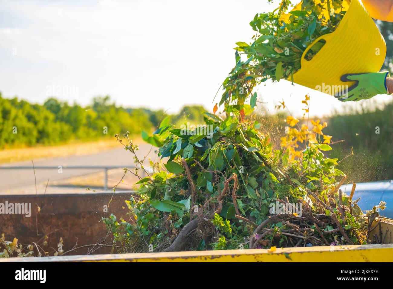 green compost with many different plant. vegetable compost in basket in ...