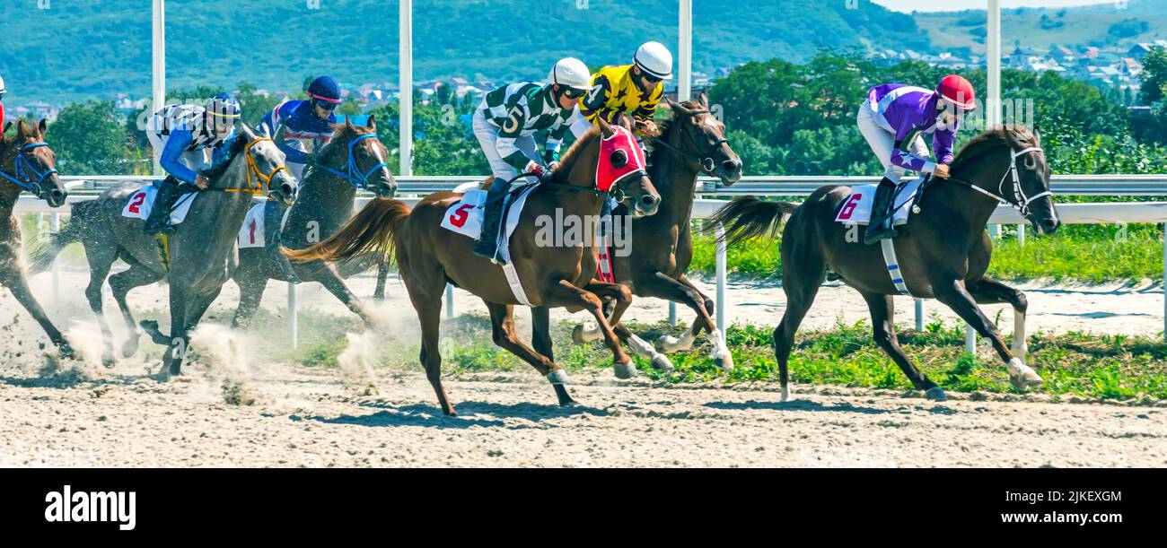 The start horse race for the prize of the Derby in Pyatigorsk,Northern ...
