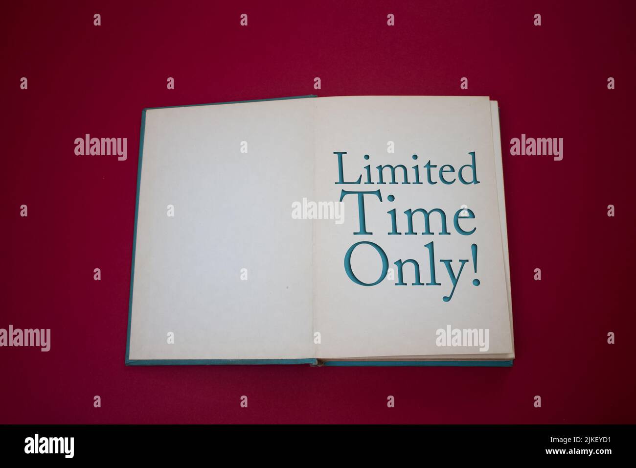 Limited Time Only word in opened book with vintage, natural patterns ...