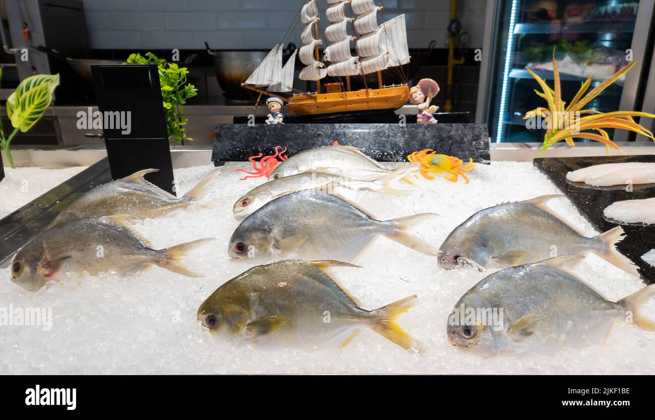 Silver pomfret fish hi-res stock photography and images - Alamy