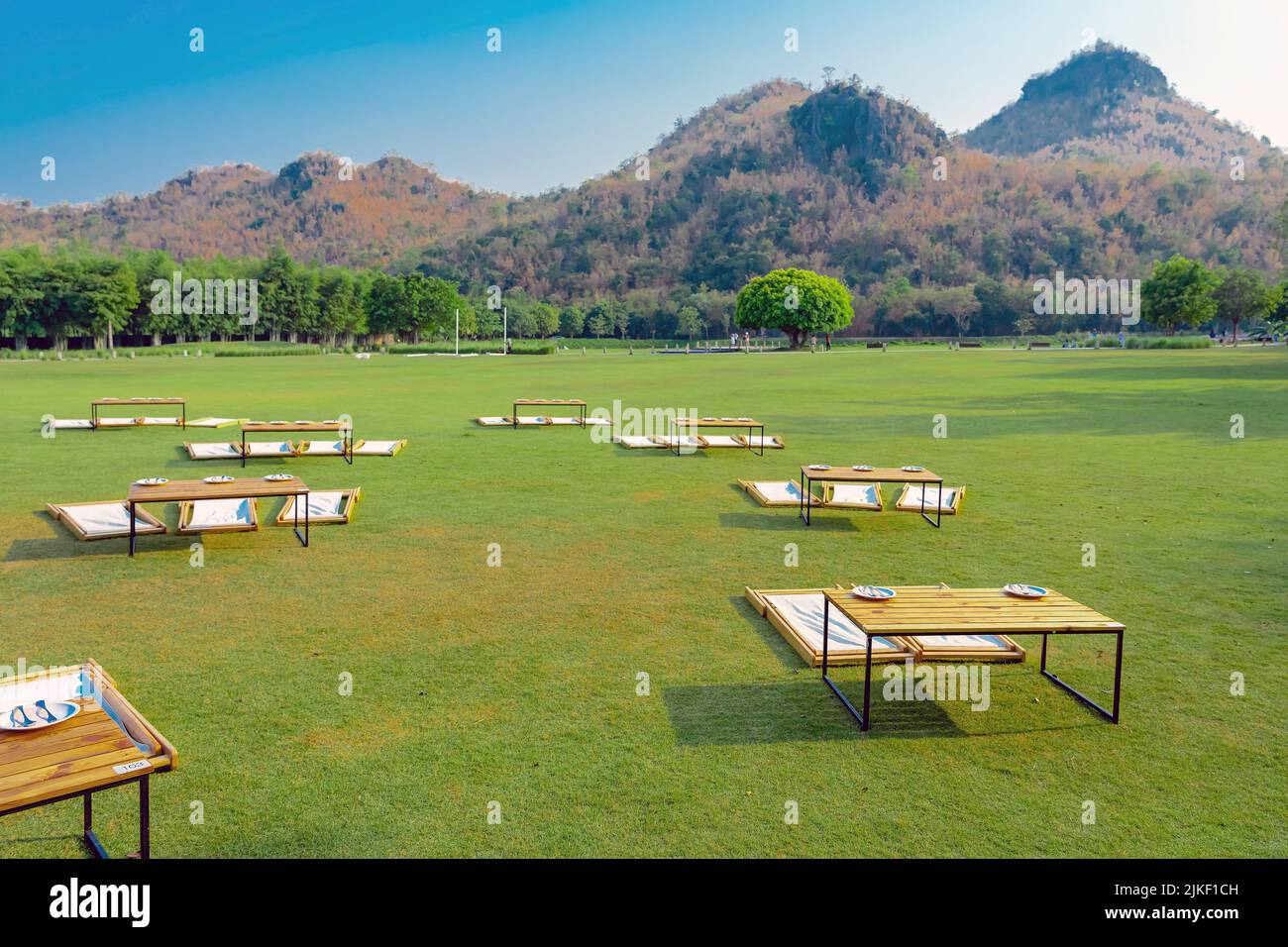 Many dining table set on lawn is surrounded by shady green grass with ...